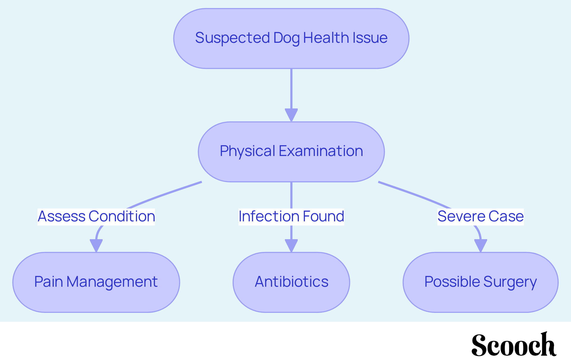 This flowchart shows the steps to take when you suspect your dog has a health issue. Each box represents an important action the vet will take to ensure your dog gets the best care possible. This flowchart shows the steps to take when you suspect your dog has a health issue. Each box represents an important action the vet will take to ensure your dog gets the best care possible.