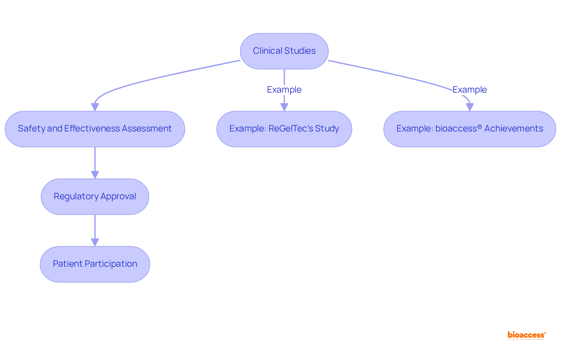 This flowchart shows how clinical trials progress from initial research to regulatory approval, highlighting the essential roles of studies and participants in developing new treatments.