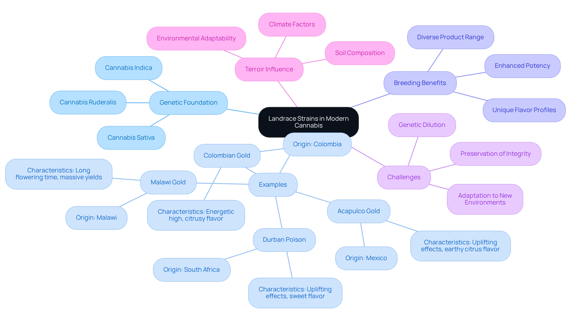 The center node represents the core concept of landrace strains. Each branch shows different facets of their role, with examples highlighting specific strains and their contributions to modern cannabis. The color-coded branches help differentiate between various aspects, making it easier to understand their interconnectedness. The center node represents the core concept of landrace strains. Each branch shows different facets of their role, with examples highlighting specific strains and their contributions to modern cannabis. The color-coded branches help differentiate between various aspects, making it easier to understand their interconnectedness.