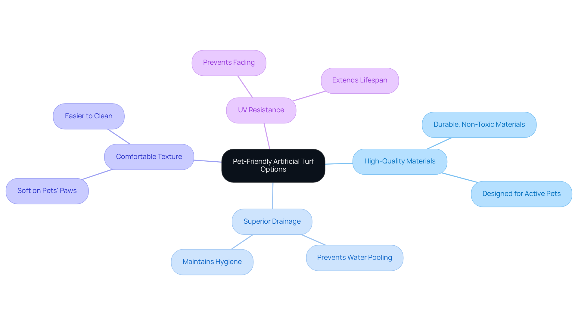 The central node represents the main topic, while the branches show important features to consider. Each feature has additional details that explain why they matter for pet owners.
