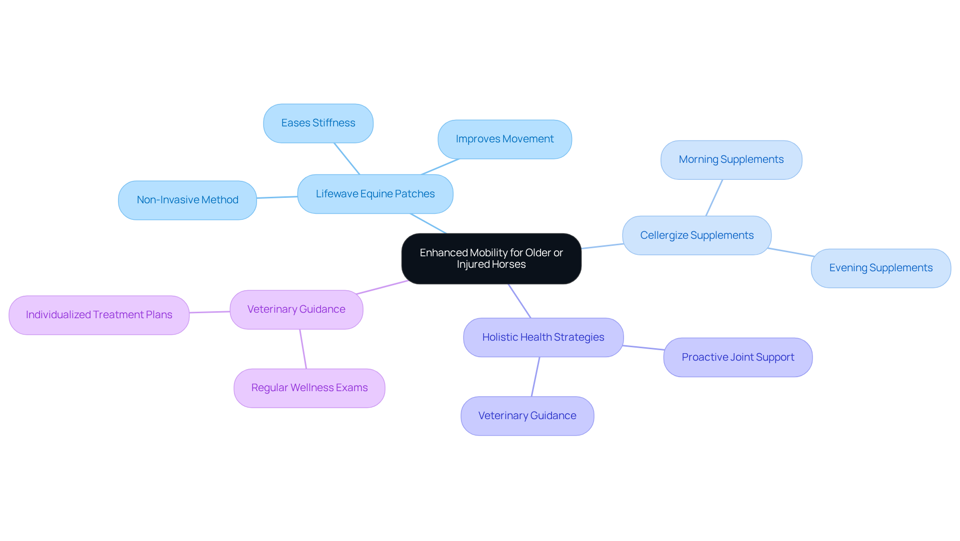 This mindmap illustrates how various strategies and products contribute to improving mobility in older or injured horses. Start at the center with the main focus, then explore the branches to see how each product and strategy supports equine health and comfort. This mindmap illustrates how various strategies and products contribute to improving mobility in older or injured horses. Start at the center with the main focus, then explore the branches to see how each product and strategy supports equine health and comfort.