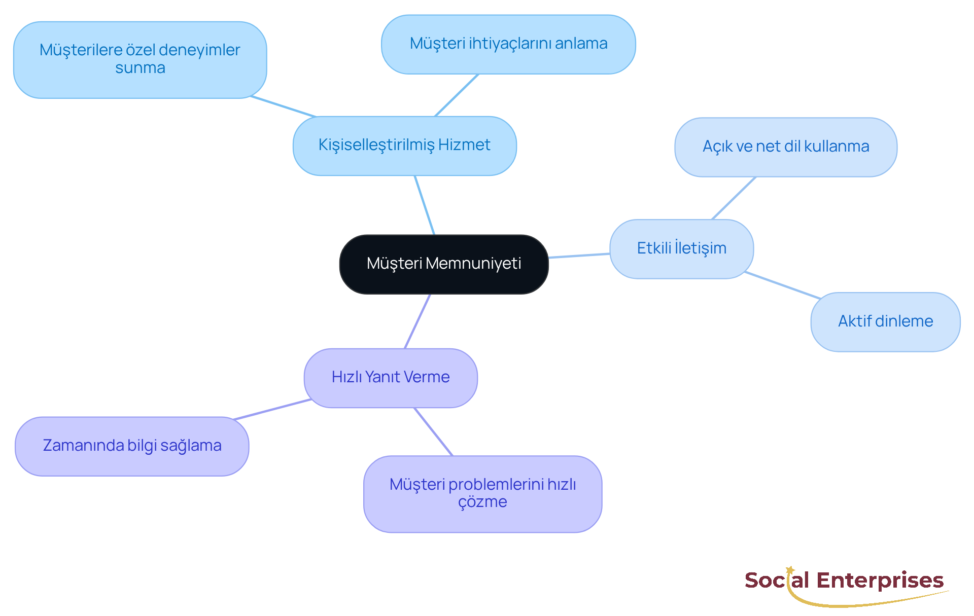 Merkezde müşteri memnuniyetini göreceksiniz. Dallar, bu memnuniyeti artırmak için kullanılan stratejileri temsil ediyor. Her dalın altında, o stratejinin nasıl çalıştığına dair bilgiler var.