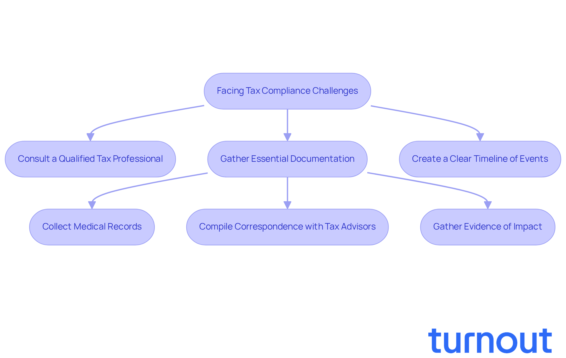 Follow the arrows to see the steps you need to take when facing tax challenges. Each box represents an action you should consider, starting from seeking professional advice to gathering necessary documents.