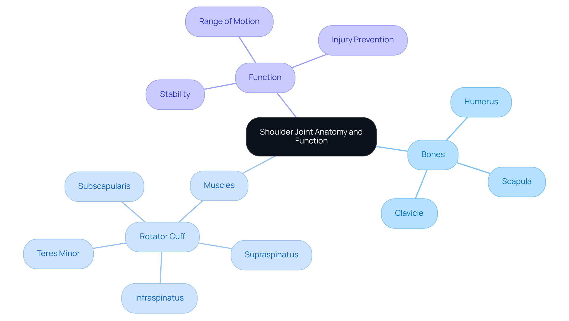 This mindmap illustrates the anatomy and function of the shoulder joint. Start at the center with the main topic, then explore the branches to learn about the bones, muscles, and how they work together. Each color-coded section helps you see how everything is connected, making it easier to understand the complexities of shoulder health.