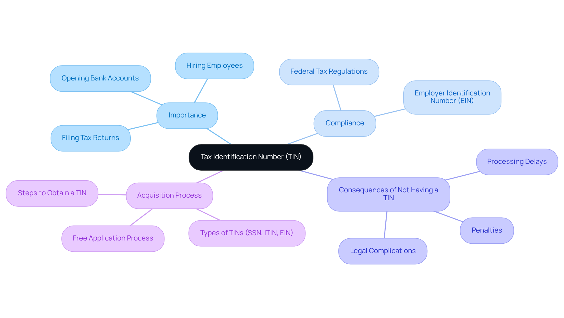 The center shows the main topic, TIN, and the branches illustrate its importance and related aspects. Each branch provides insights into why TINs matter for businesses and what happens if they are not obtained. The center shows the main topic, TIN, and the branches illustrate its importance and related aspects. Each branch provides insights into why TINs matter for businesses and what happens if they are not obtained.