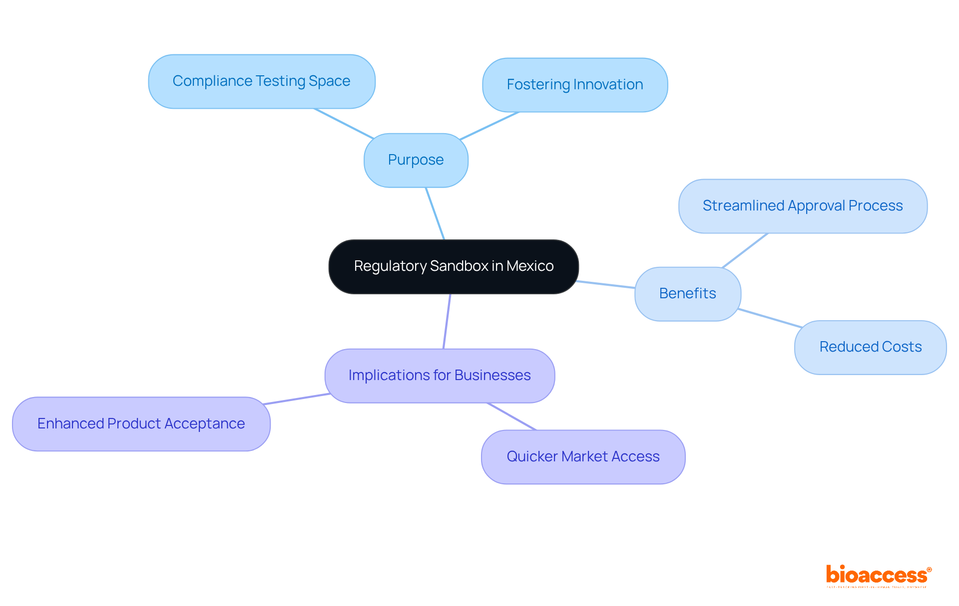 The center represents the main idea of the regulatory sandbox, with branches showing its purpose, benefits, and how it affects businesses. Each branch helps you see the different aspects of this concept.