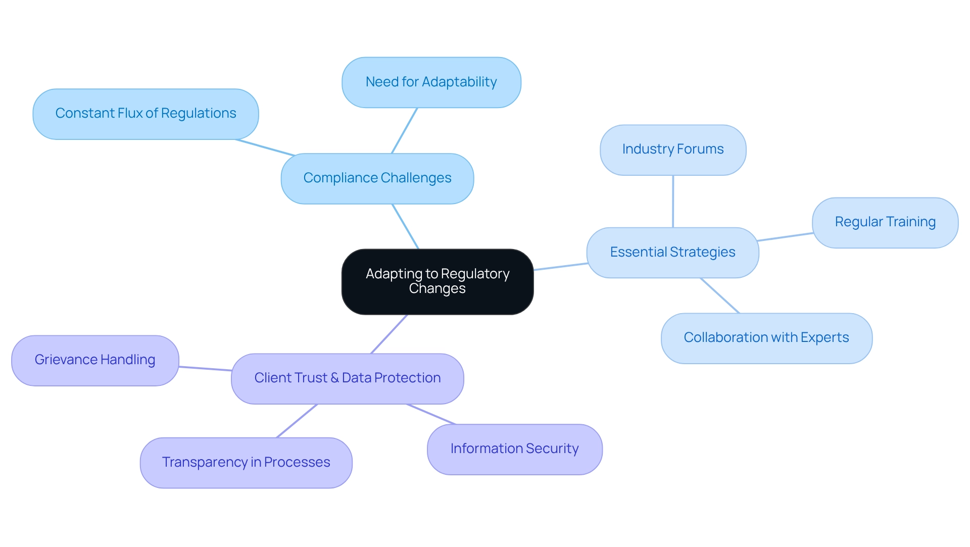 The central idea represents the overall challenge, while the branches show the strategies and concerns that are important for staying compliant and protecting client information.