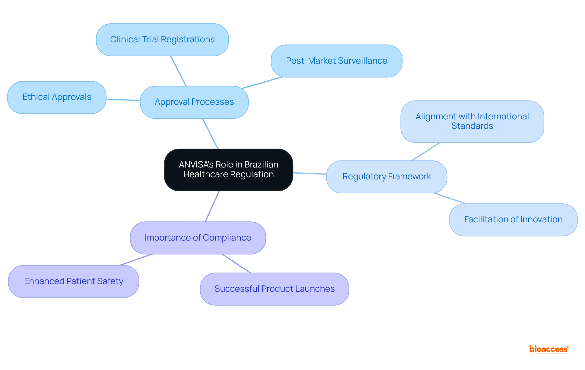 The central node represents ANVISA's overall role, while the branches illustrate the main areas of regulation and their specific components, helping you understand how they interact within Brazil's healthcare system.