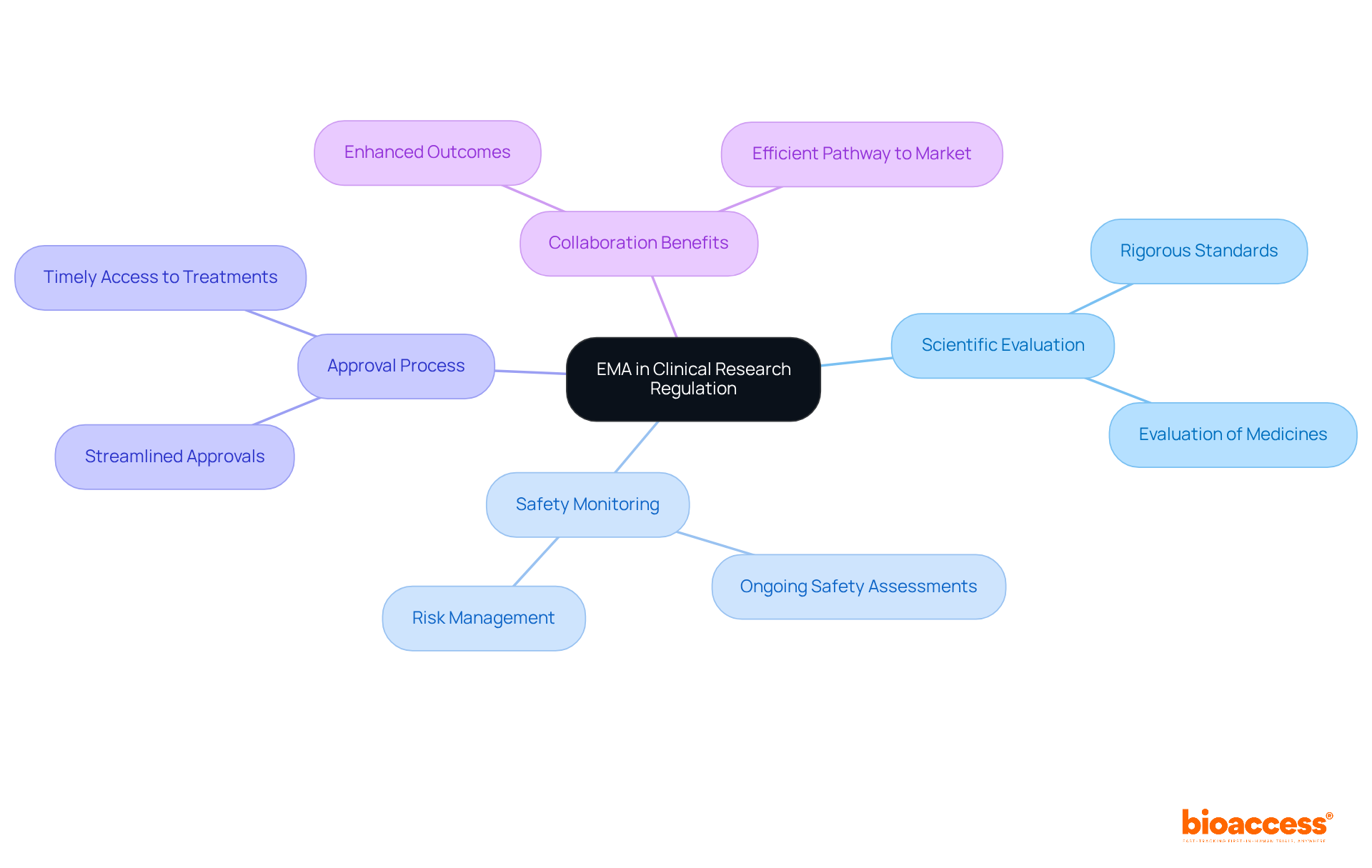 The central node represents the EMA's role, while the branches show different aspects of its functions and benefits. Follow the branches to understand how the EMA influences clinical research and regulatory processes. The central node represents the EMA's role, while the branches show different aspects of its functions and benefits. Follow the branches to understand how the EMA influences clinical research and regulatory processes.