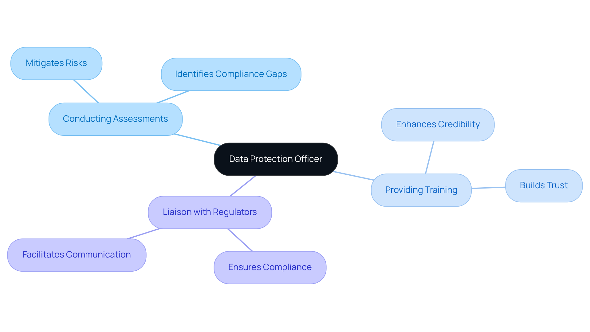 The central node represents the DPO's significance, while the branches illustrate their primary responsibilities and the broader implications for businesses, helping you see how each part contributes to data protection strategy.
