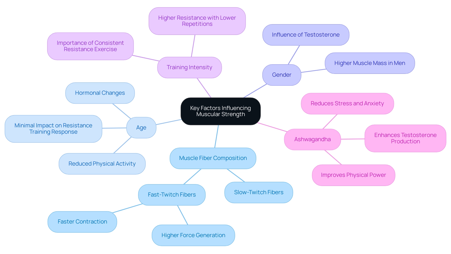 The central node represents the overall subject, with branches illustrating key factors affecting muscular strength and their respective subcategories.