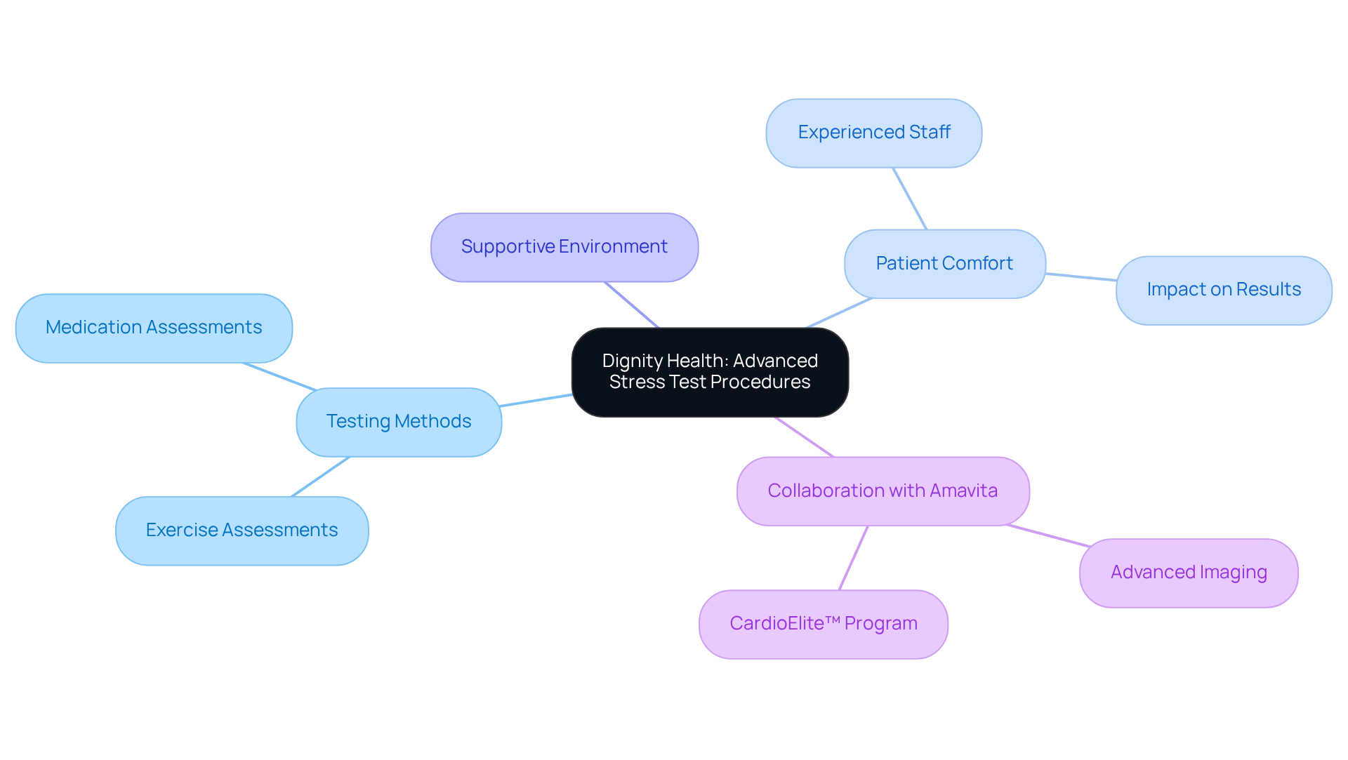 The central node represents Dignity Health's focus on heart health, with branches showing different aspects of their approach. Each branch highlights how they contribute to patient care and comfort during stress tests.