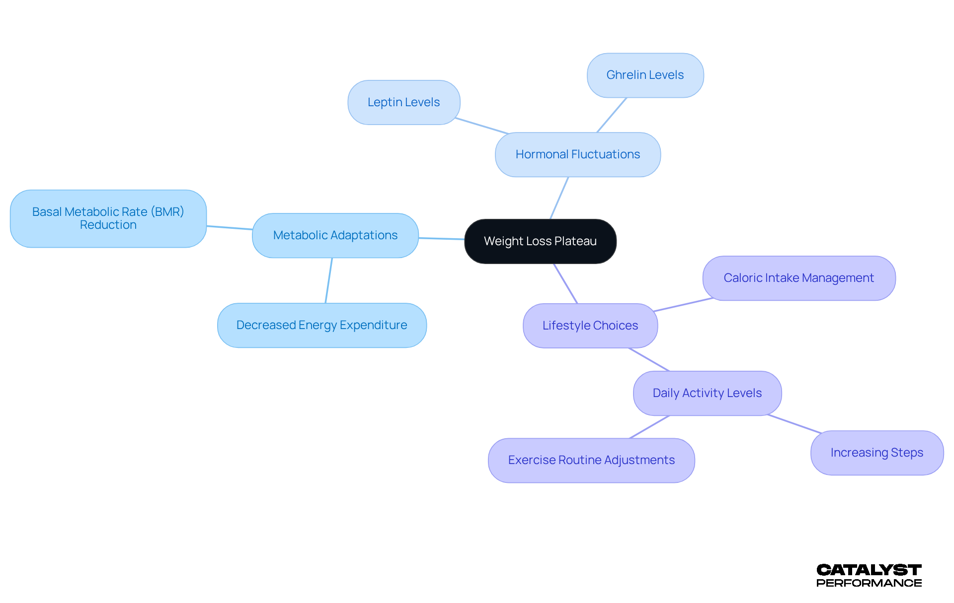 The central node represents the weight loss plateau, while the branches show the main causes. Each sub-branch provides more detail about how these factors contribute to the plateau. This visual helps you see the connections and understand that these challenges are common and manageable.