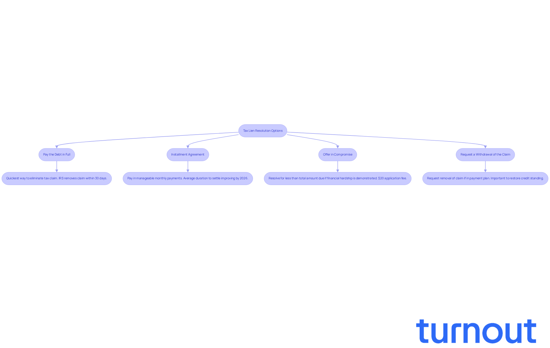 This flowchart shows the different paths you can take to resolve a tax lien. Each option is a step you can consider, with notes on what to expect. Follow the arrows to see how each choice leads to a resolution.