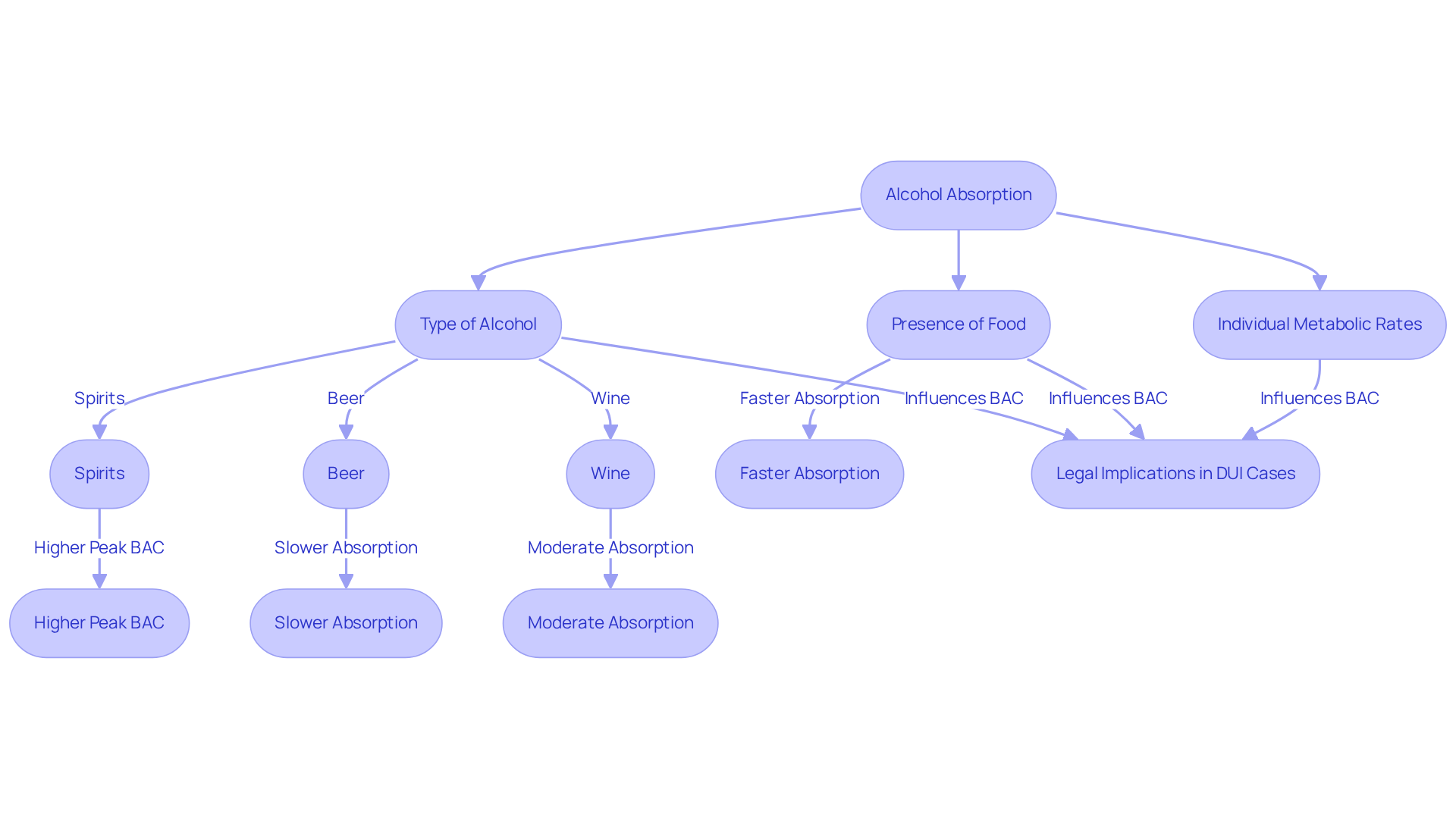 This flowchart illustrates how alcohol absorption works and the factors that influence it. Each branch shows a different aspect of the process, leading to the important legal implications for DUI cases. Follow the arrows to understand how these factors interact and affect BAC levels.