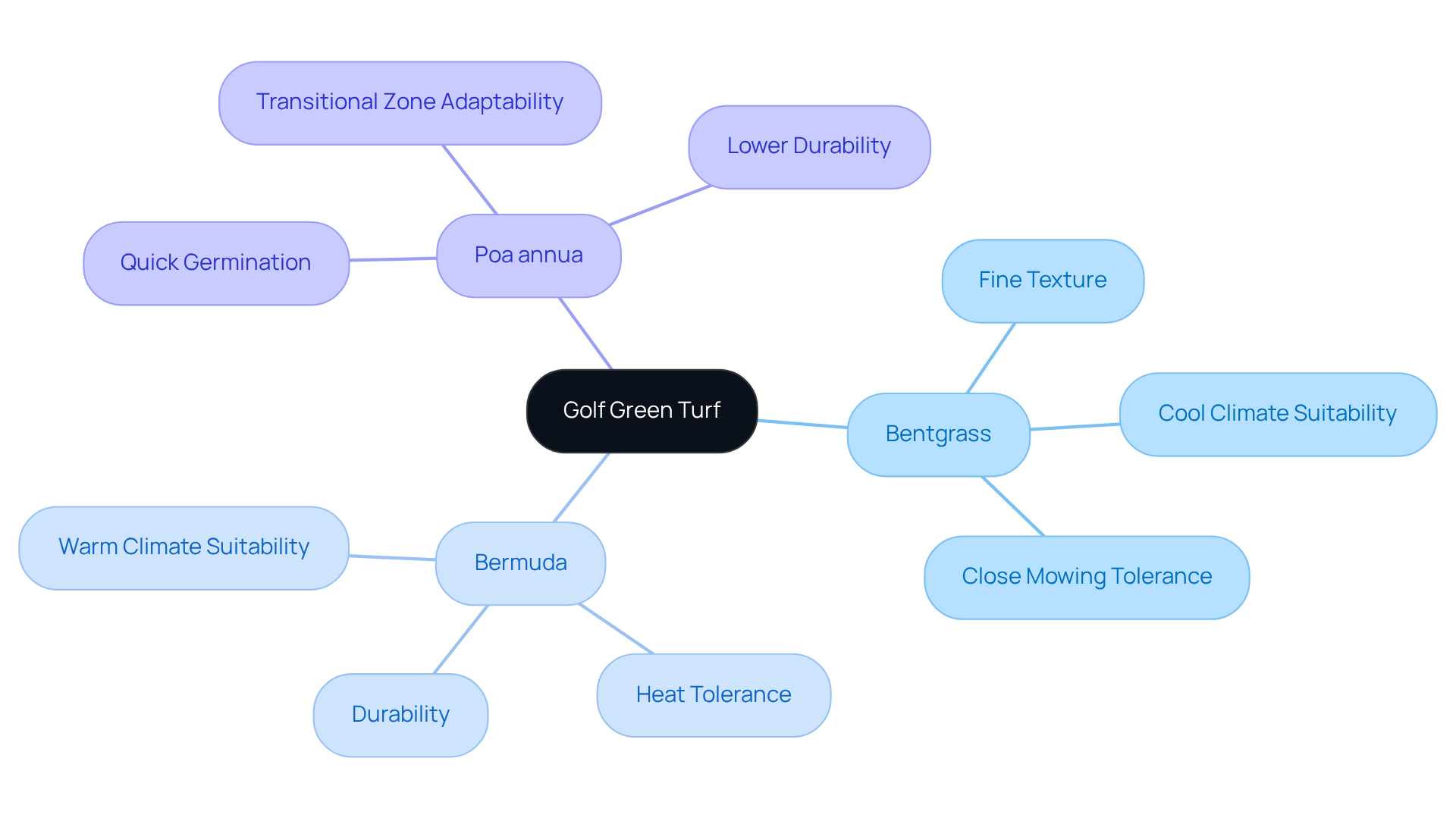 Start at the center with the main topic of golf green turf, then explore each type of grass and its unique features by following the branches. Each color represents a different turf type, making it easy to differentiate between them.