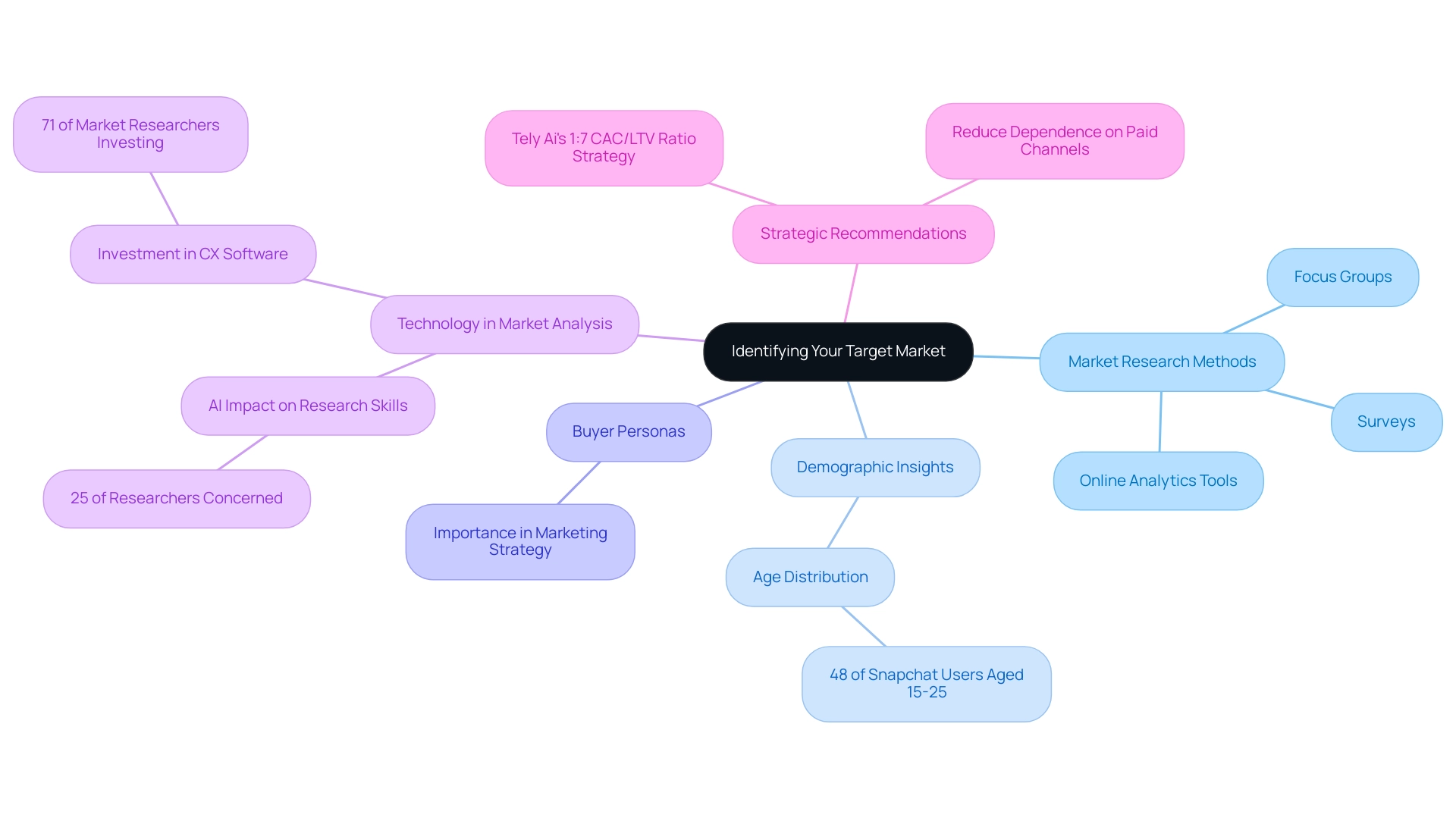 Each branch represents a key component of identifying your target market, with colors indicating different categories of information.