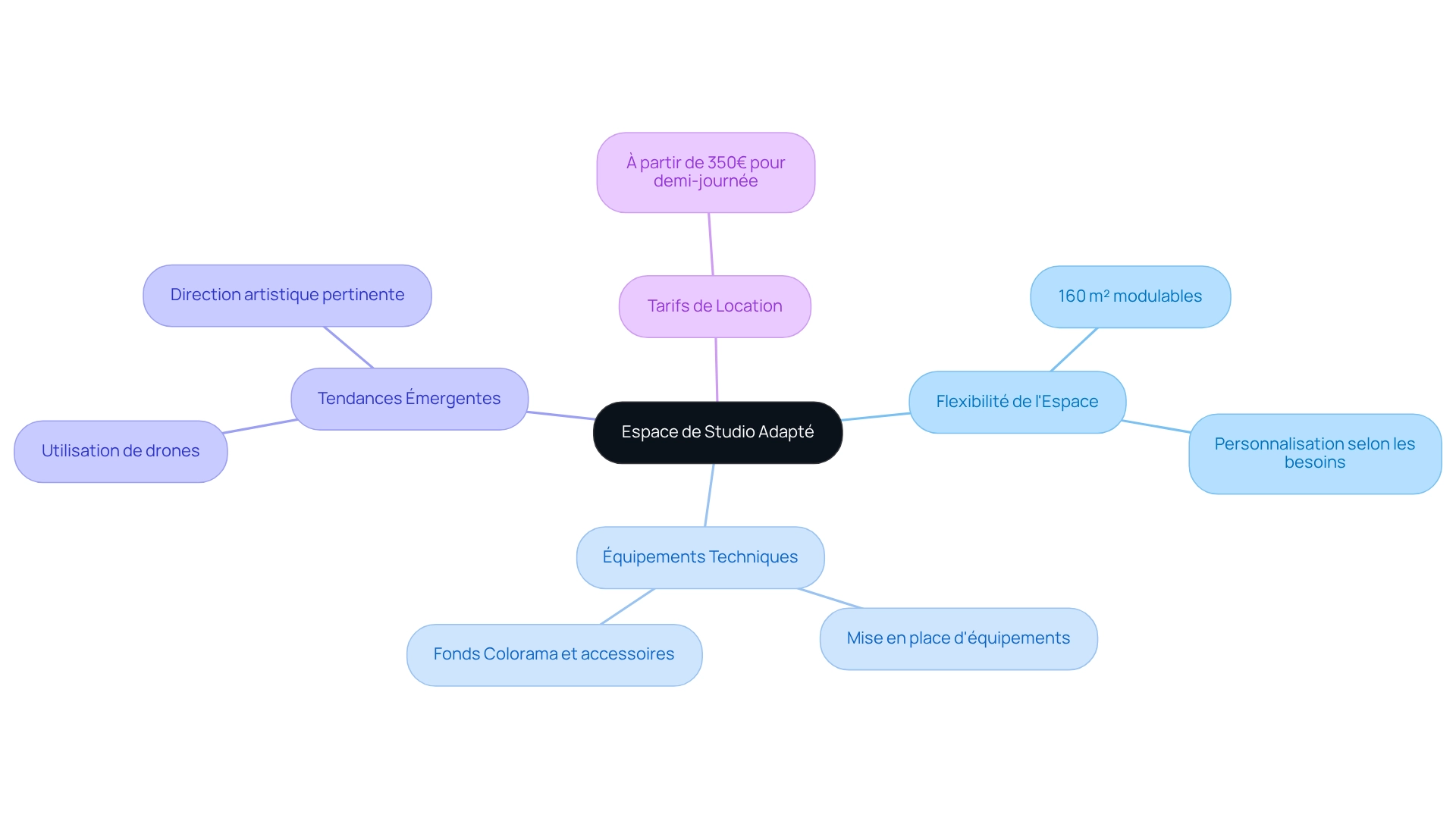 Le nœud central représente l'idée d'un espace de studio adapté, et les branches montrent les différents aspects qui y contribuent. Suivez les branches pour explorer chaque détail qui aide à la réussite des projets photographiques.