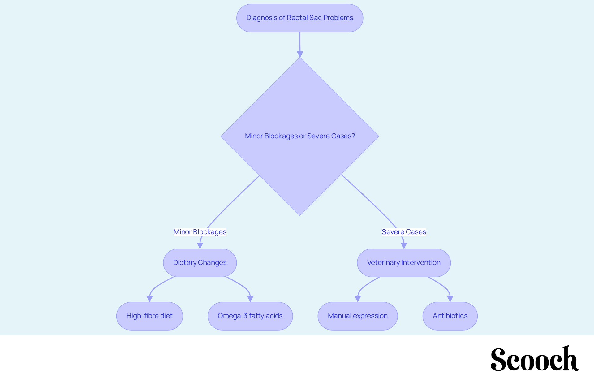 Follow the flow from diagnosis to treatment options. Minor blockages lead to dietary changes, while severe cases require veterinary intervention. Each step helps guide pet owners in making informed decisions.