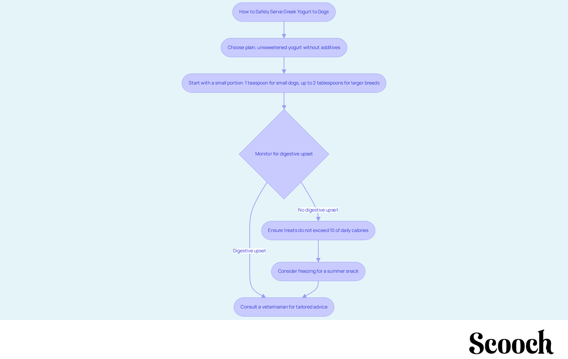 Each step shows what to do when introducing Greek yogurt to your dog — from choosing the right kind to monitoring their health and ensuring their diet stays balanced.