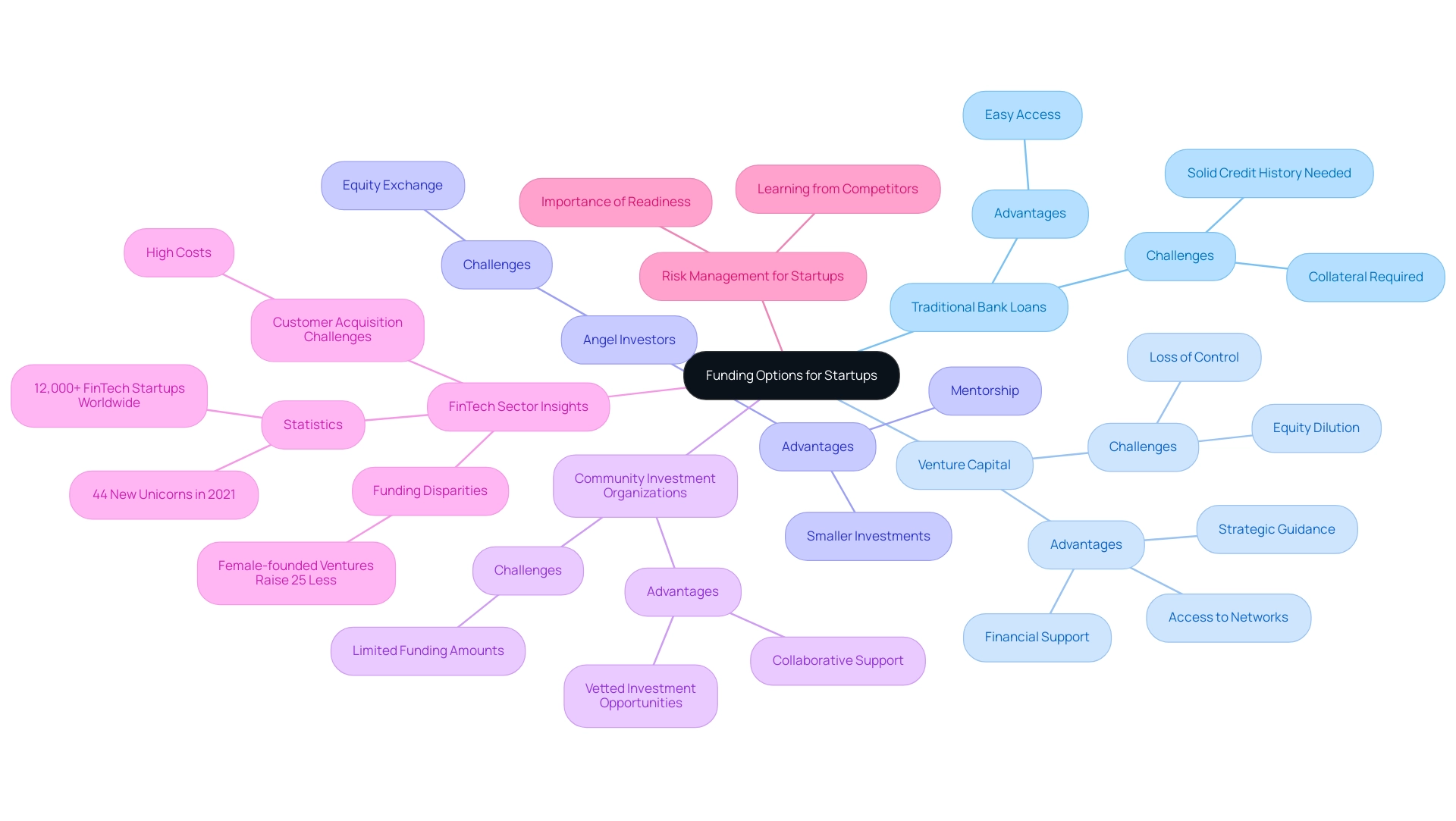 The central node represents various funding options, with branches indicating different categories, each with its respective advantages and challenges.