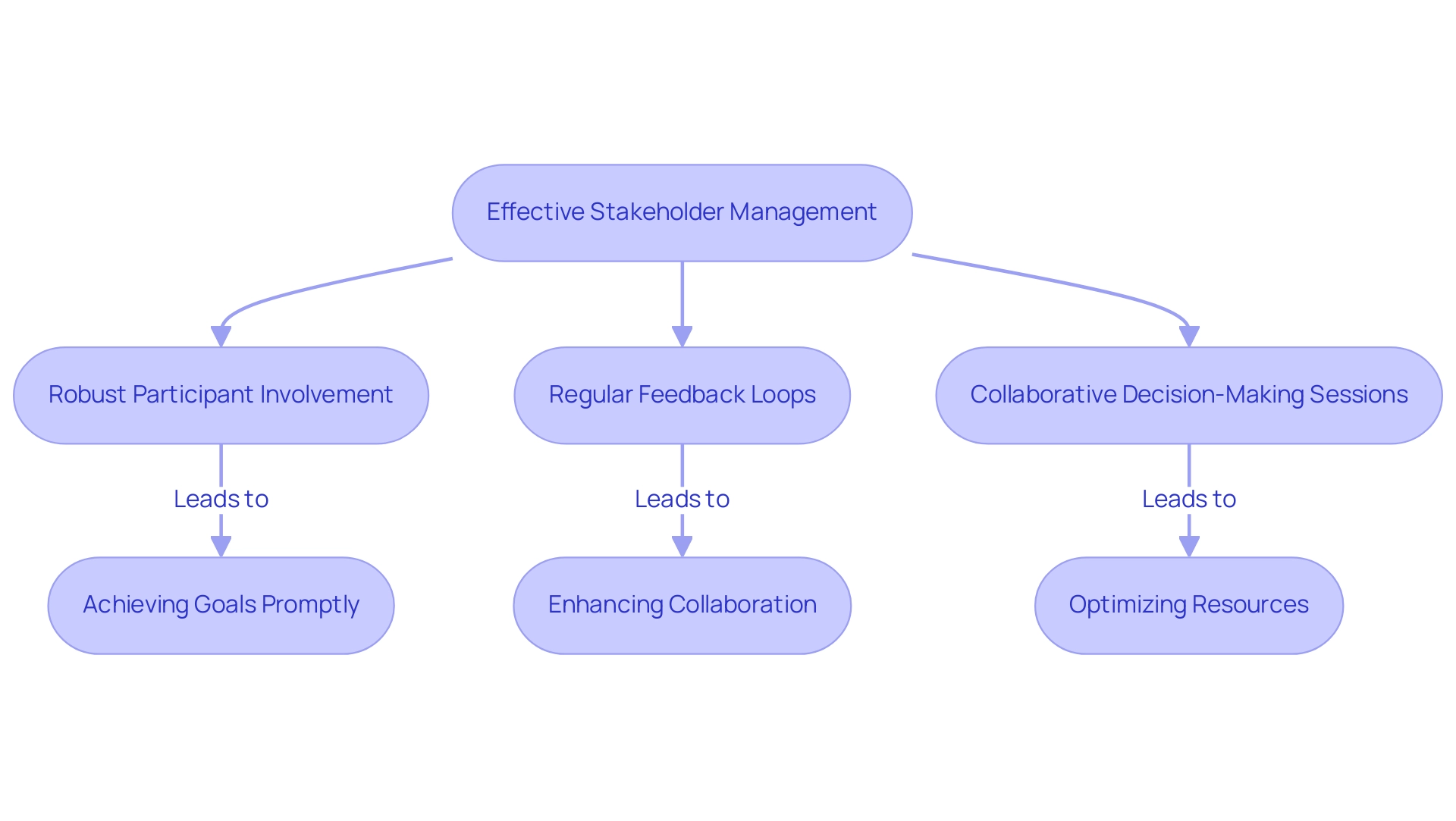 Blue boxes represent stakeholder management practices, while green boxes represent positive project outcomes.