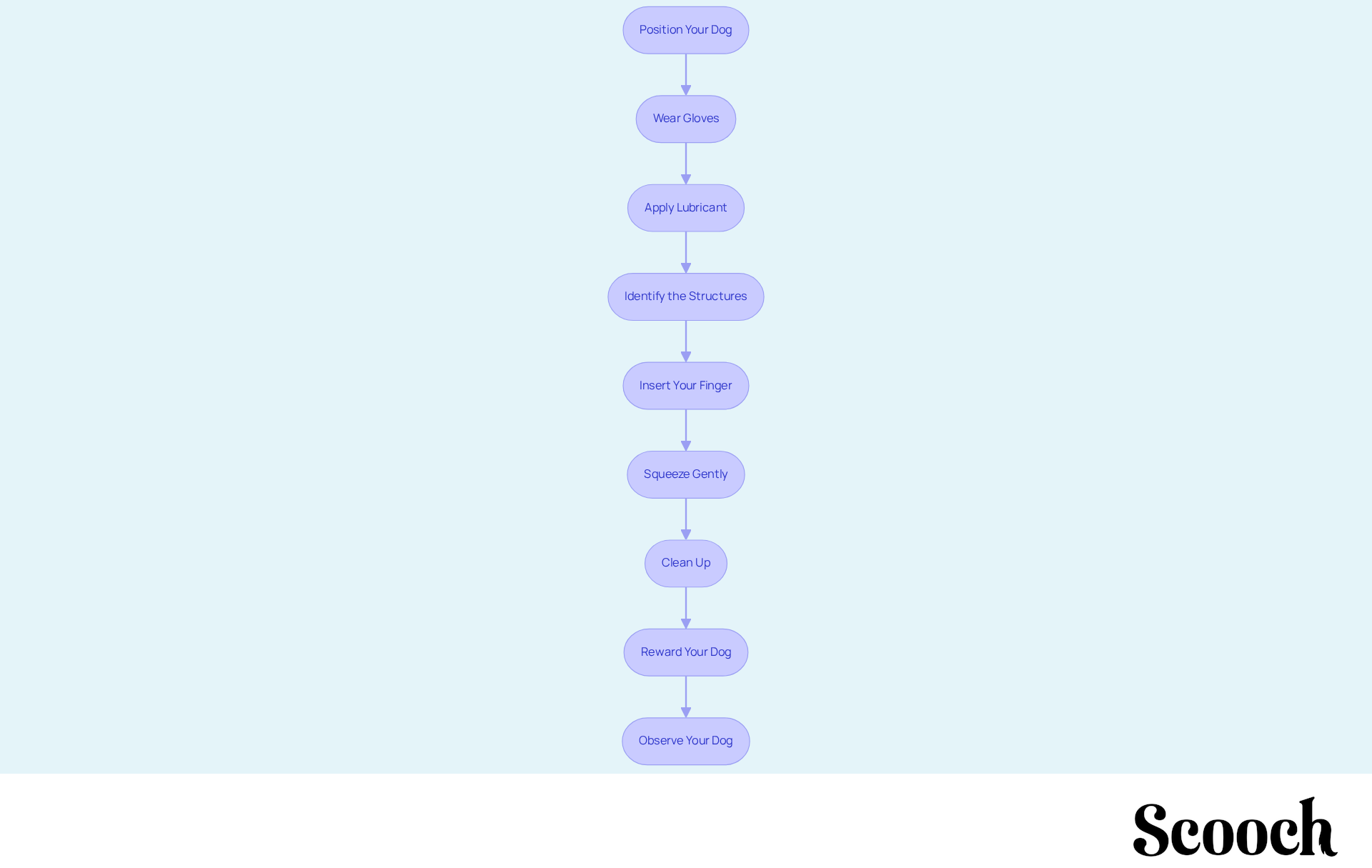 Each box represents a step in the process. Follow the arrows to see how to care for your dog's health safely and effectively. Remember, each step is important for your dog's comfort and well-being! Each box represents a step in the process. Follow the arrows to see how to care for your dog's health safely and effectively. Remember, each step is important for your dog's comfort and well-being!