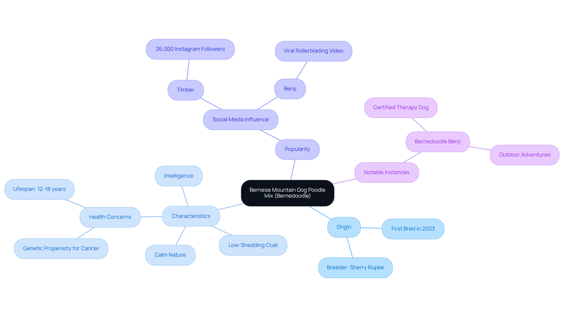 This mindmap starts with the Bernedoodle at the center, branching out into key areas that explain where it came from, its traits, and how it's become popular. Each branch gives more detail about its origins, traits, and notable moments in its story.