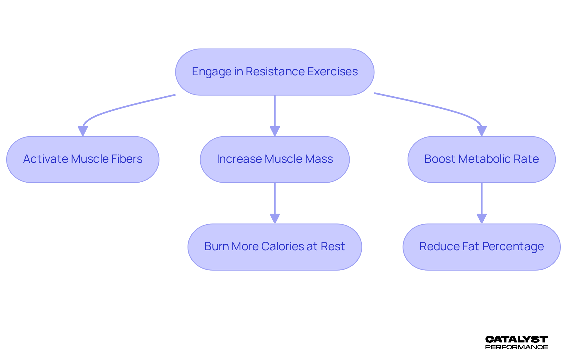 Follow the arrows to see how starting strength training leads to activating muscles, increasing muscle mass, and boosting metabolism, ultimately helping you reduce fat and improve your body composition. Follow the arrows to see how starting strength training leads to activating muscles, increasing muscle mass, and boosting metabolism, ultimately helping you reduce fat and improve your body composition.