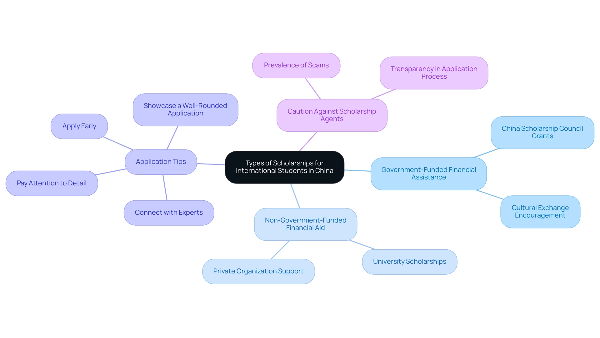 The central node represents the overall scholarship types, with branches showing government and non-government options, each having further subcategories.