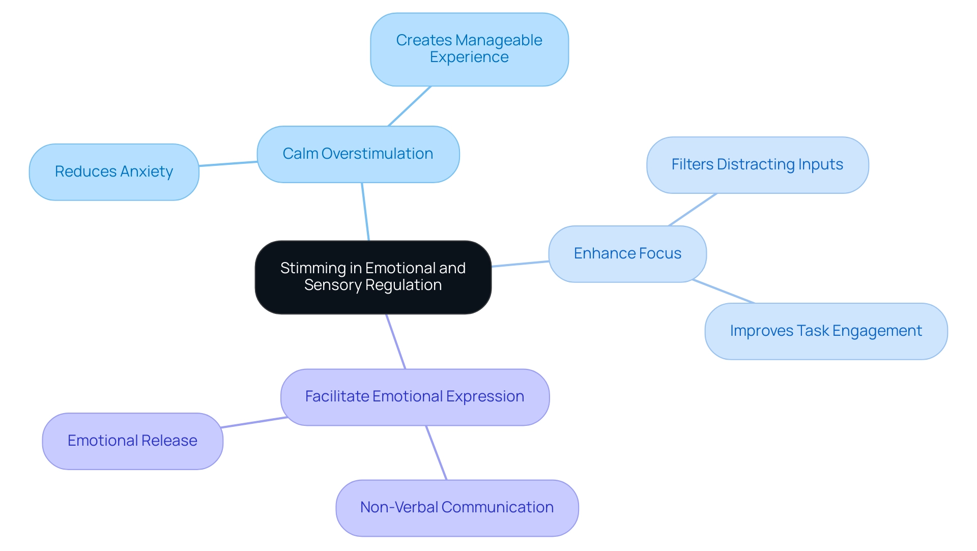 The central node represents stimming, with branches indicating its key functions: calming overstimulation, enhancing focus, and facilitating emotional expression, each represented by distinct colors.