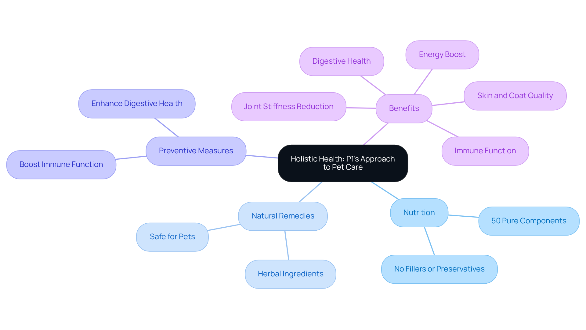 This mindmap illustrates the comprehensive care P1 provides. Start at the center to understand the holistic health concept, then follow the branches to see how each aspect contributes to your pet's well-being. This mindmap illustrates the comprehensive care P1 provides. Start at the center to understand the holistic health concept, then follow the branches to see how each aspect contributes to your pet's well-being.