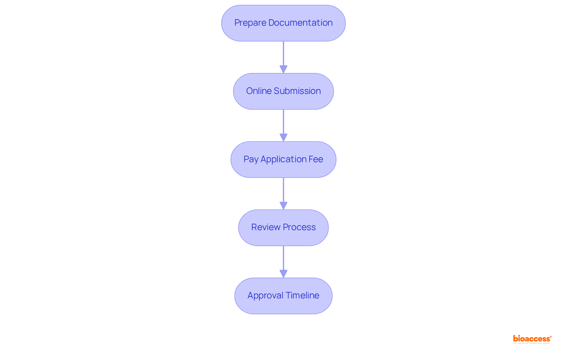 Follow the arrows through each step of the application process. Each box shows what you need to do next, from preparing your documents to monitoring the approval timeline. Pay special attention to the application fee box for budgeting purposes.