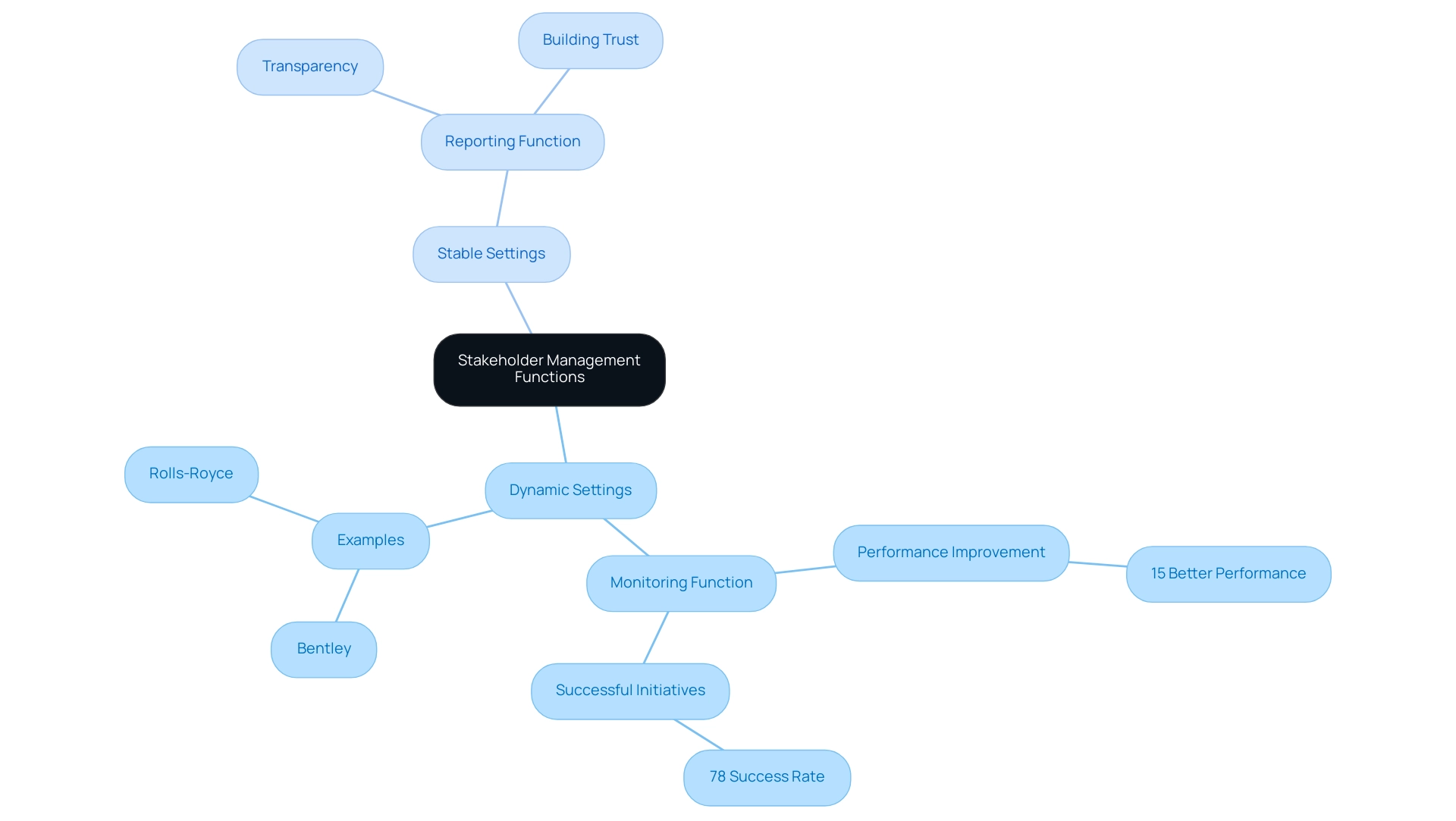 The central node represents stakeholder management functions, with branches for dynamic and stable settings and subcategories illustrating specific functions and examples.