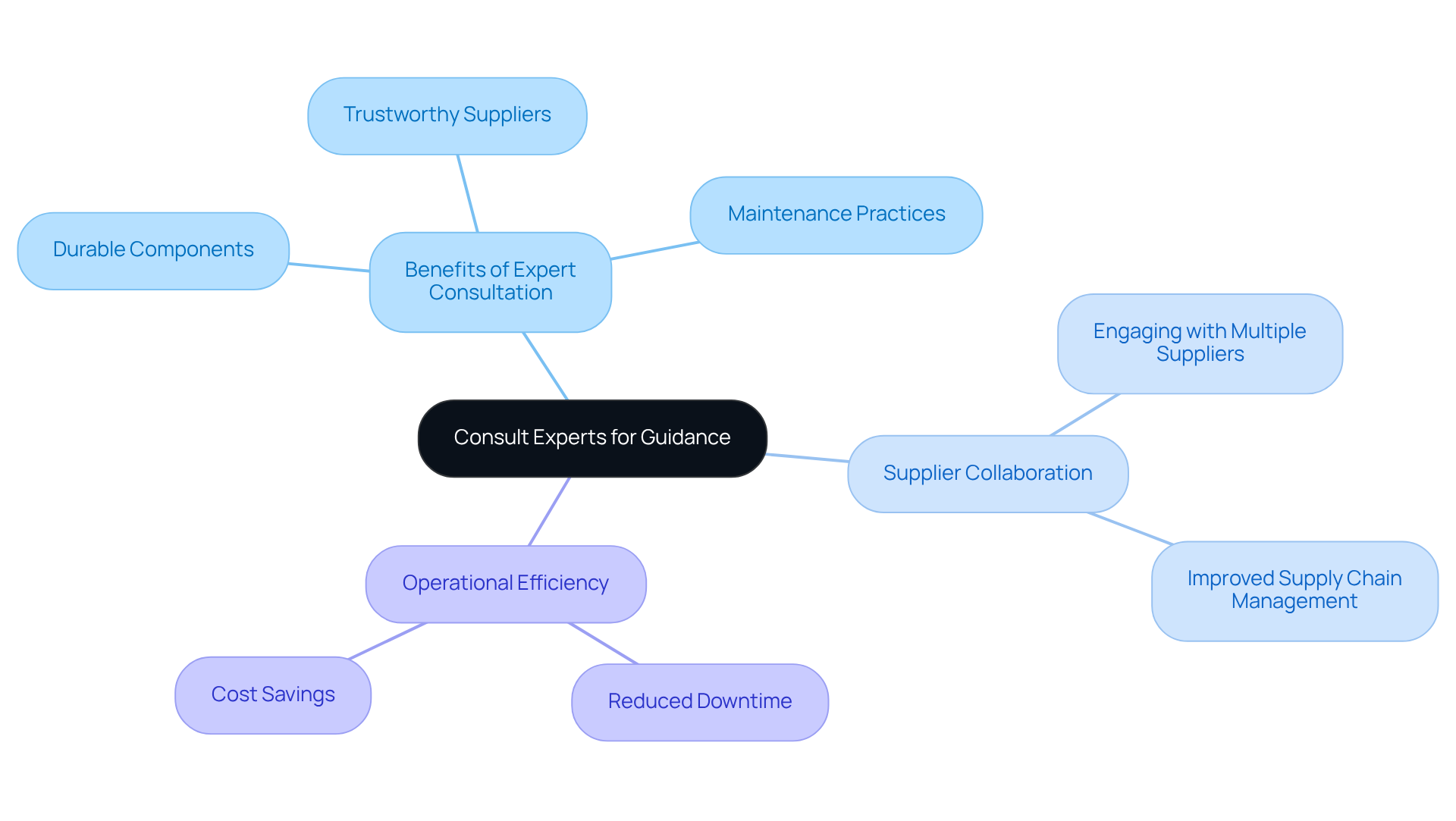 The central idea is about seeking expert guidance. Each branch represents a key benefit or aspect of this process, helping you see how expert advice can improve fleet management.