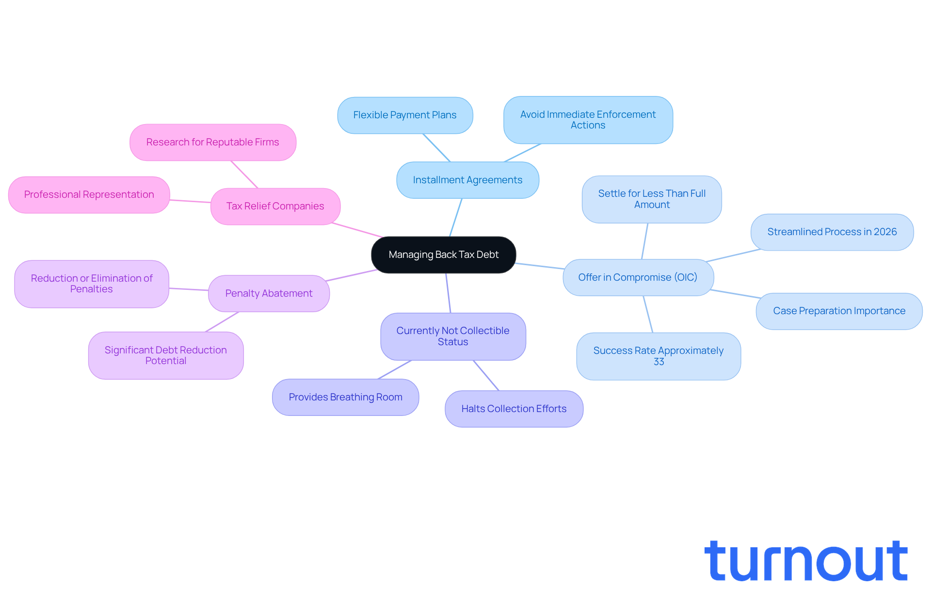 The center represents the main topic of managing back tax debt. Each branch shows a different solution, and the sub-branches provide additional details about each option. This layout helps you see all your choices at a glance. The center represents the main topic of managing back tax debt. Each branch shows a different solution, and the sub-branches provide additional details about each option. This layout helps you see all your choices at a glance.