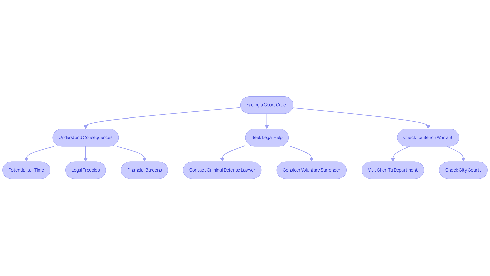 This flowchart guides you through the steps to take if you face a court order. Start at the top and follow the arrows to see what actions you can take to manage your situation effectively.