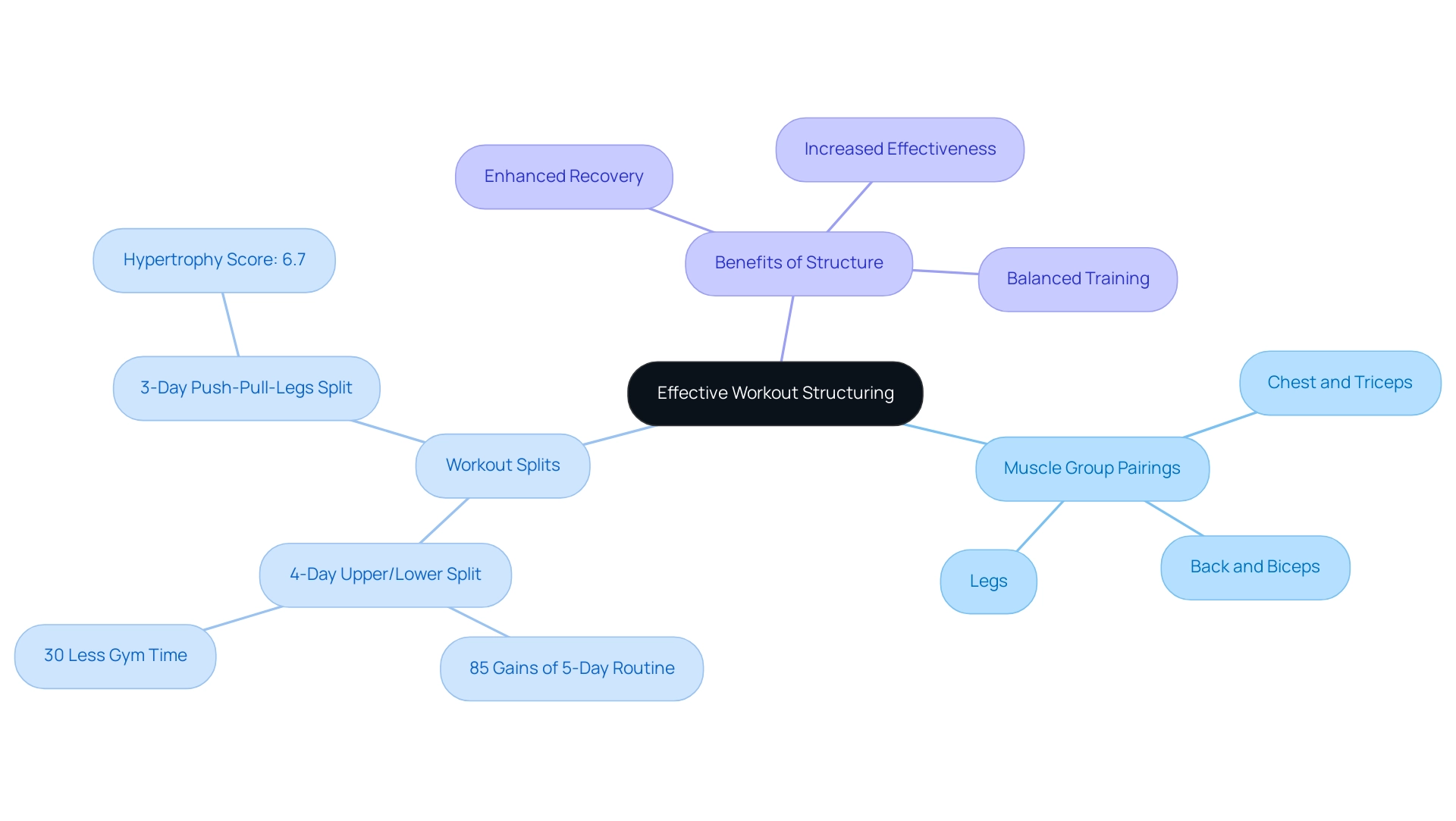 Central node represents workout structuring, with branches for muscle group pairings, workout splits, and benefits, each color-coded for clarity.