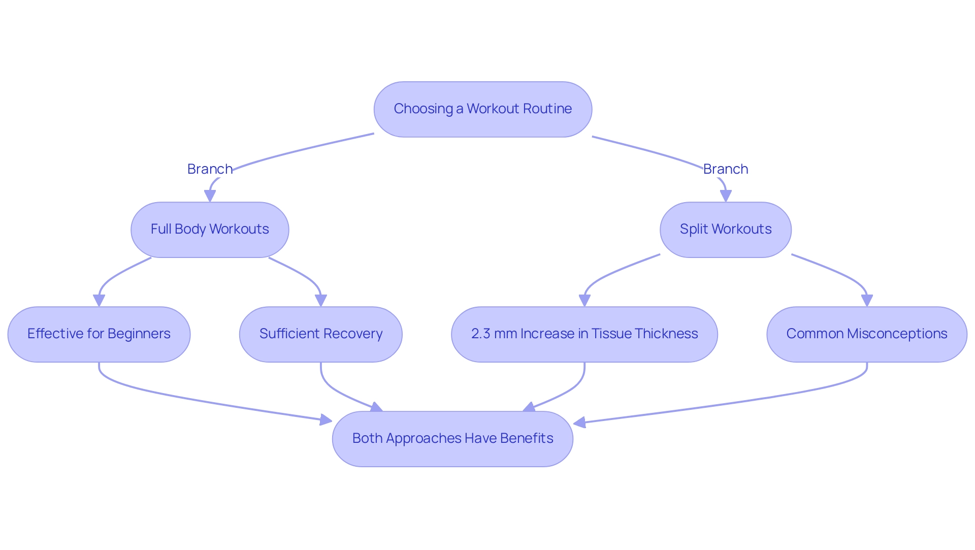 Blue represents Full Body Workouts, and Green represents Split Workouts. Each box highlights key points regarding the effectiveness and misconceptions of each training method.