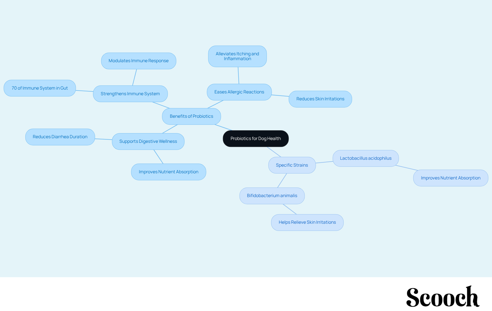 This mindmap shows how probiotics can help your dog. Start at the center with probiotics, then follow the branches to see their benefits and the specific strains that can make a difference. Each branch highlights important information to help you understand how to support your dog's health.