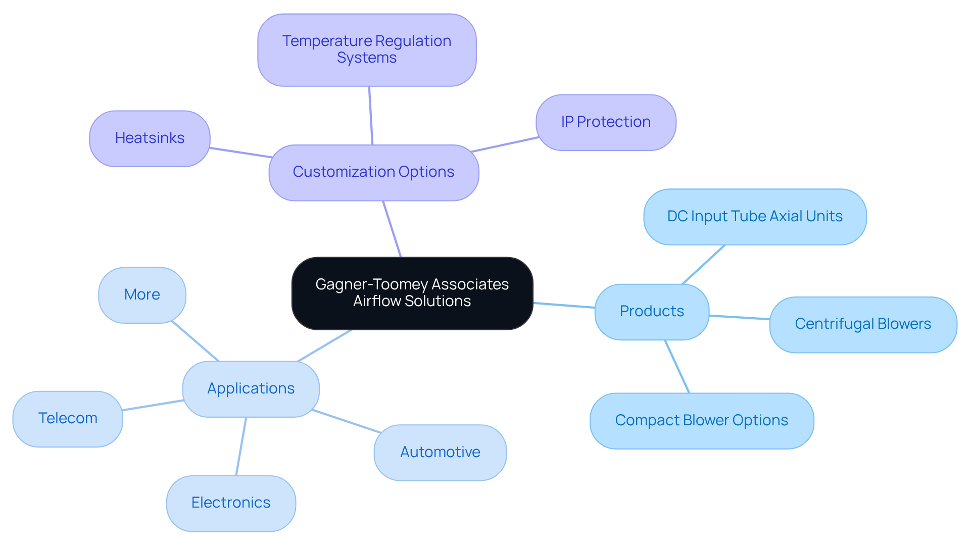 The central node shows the main company focus, while branches indicate product types, their applications, and customization options, helping you understand the breadth of what Gagner-Toomey offers.
