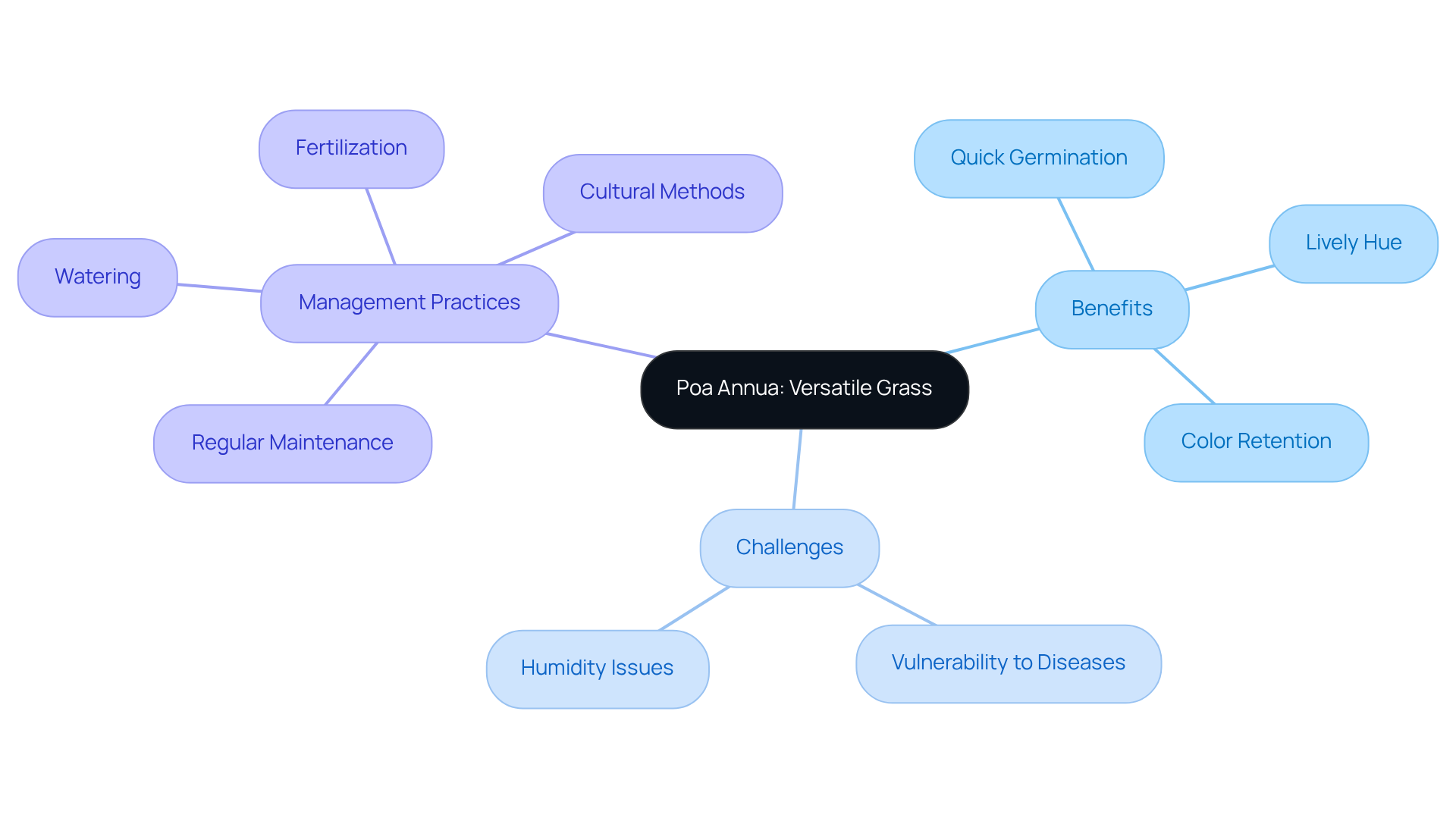 This mindmap illustrates the key aspects of Poa Annua grass. Start at the center with the grass type, then explore its benefits, challenges, and management practices. Each branch represents a different area of focus, helping you see how they connect and contribute to the overall understanding of Poa Annua. This mindmap illustrates the key aspects of Poa Annua grass. Start at the center with the grass type, then explore its benefits, challenges, and management practices. Each branch represents a different area of focus, helping you see how they connect and contribute to the overall understanding of Poa Annua.