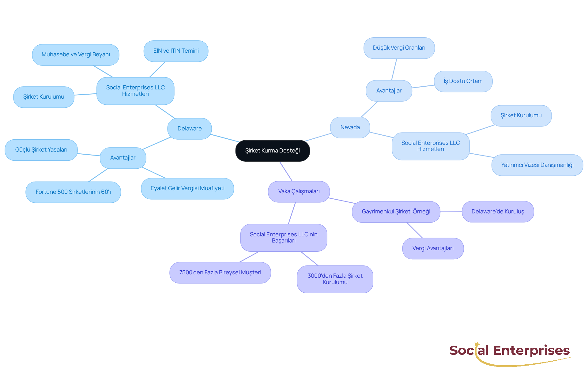 Orta kısımda şirket kurma desteğini göreceksiniz; dallar ise her eyaletin sunduğu avantajları ve destek hizmetlerini gösteriyor. Her dalın altındaki bilgiler, girişimcilerin hangi eyaletin kendileri için daha uygun olduğuna karar vermelerine yardımcı olacak.
