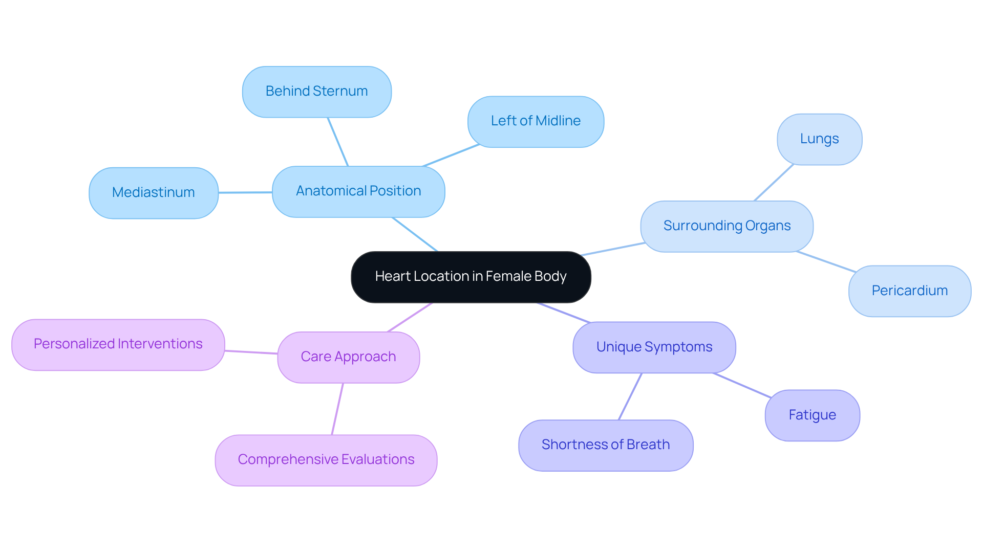 The central node represents the heart's location, while branches show related topics like its position, surrounding organs, symptoms specific to women, and the care approach. Follow the branches to explore each aspect. The central node represents the heart's location, while branches show related topics like its position, surrounding organs, symptoms specific to women, and the care approach. Follow the branches to explore each aspect.