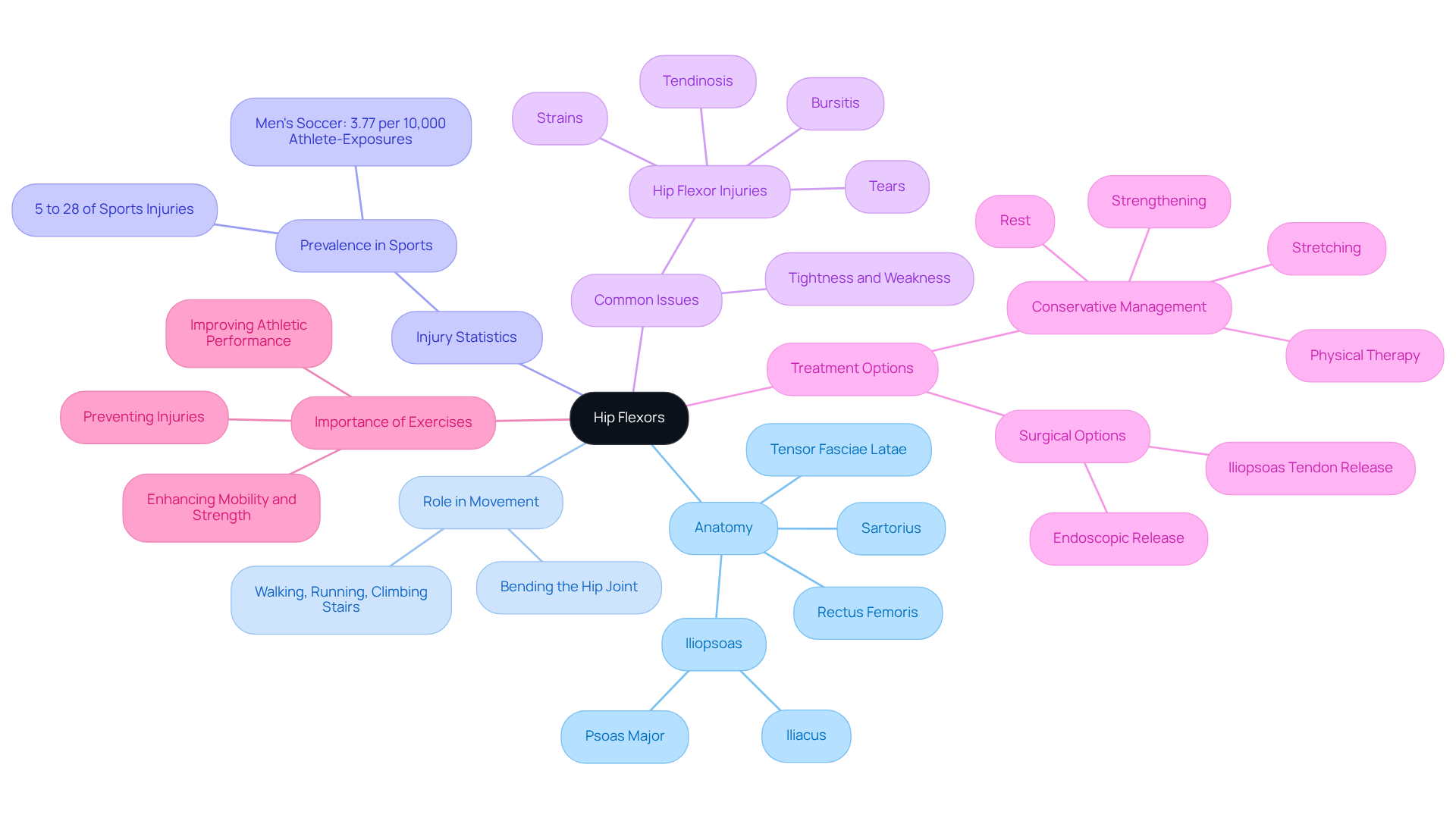 The central node represents hip flexors, and the branches show different aspects like anatomy, their role in movement, and treatment options. Each branch helps you explore how these elements connect and contribute to hip health. The central node represents hip flexors, and the branches show different aspects like anatomy, their role in movement, and treatment options. Each branch helps you explore how these elements connect and contribute to hip health.