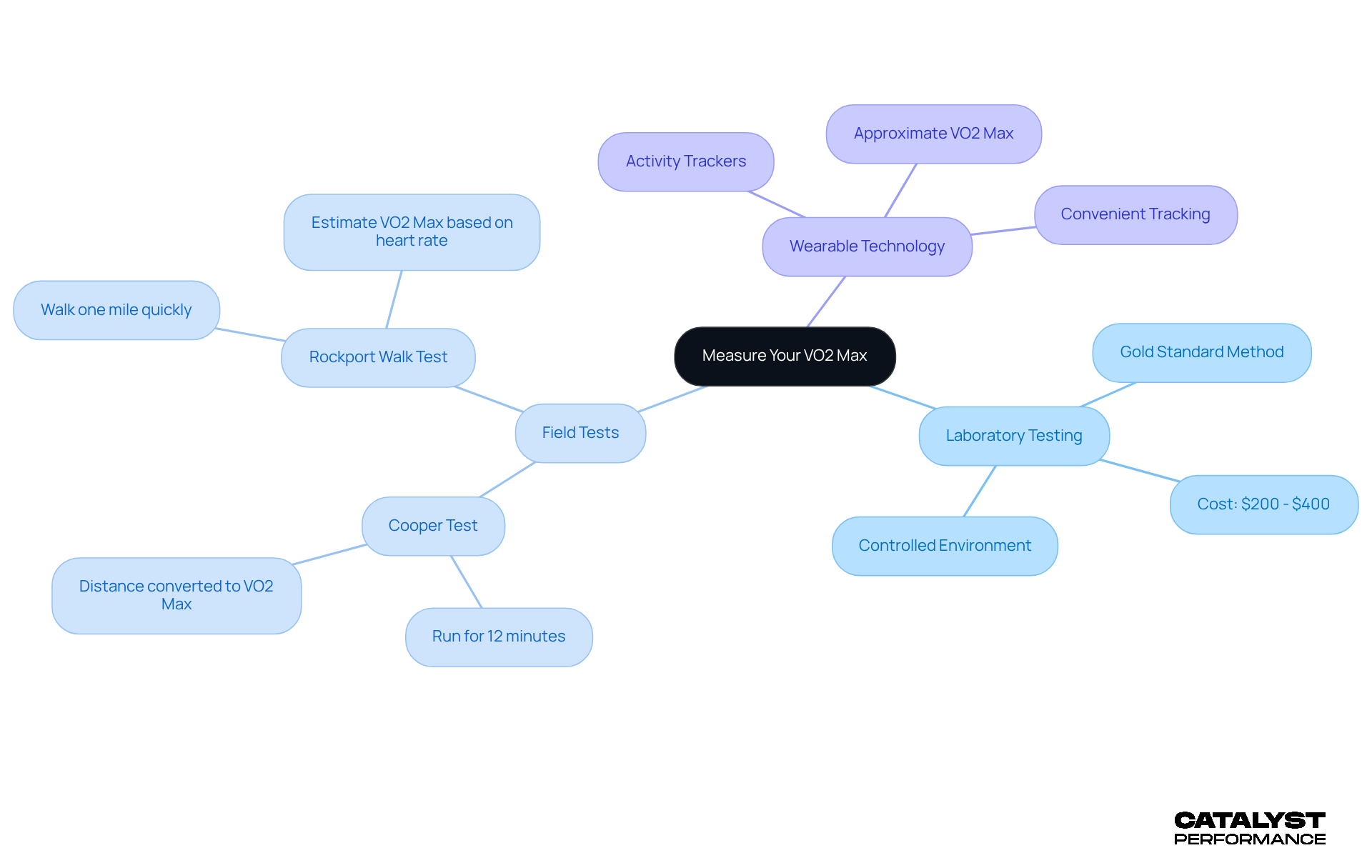 The center shows the main topic of measuring VO2 Max, while the branches represent different methods. Each method has its own unique features, helping you understand the options available for tracking your cardiovascular health.
