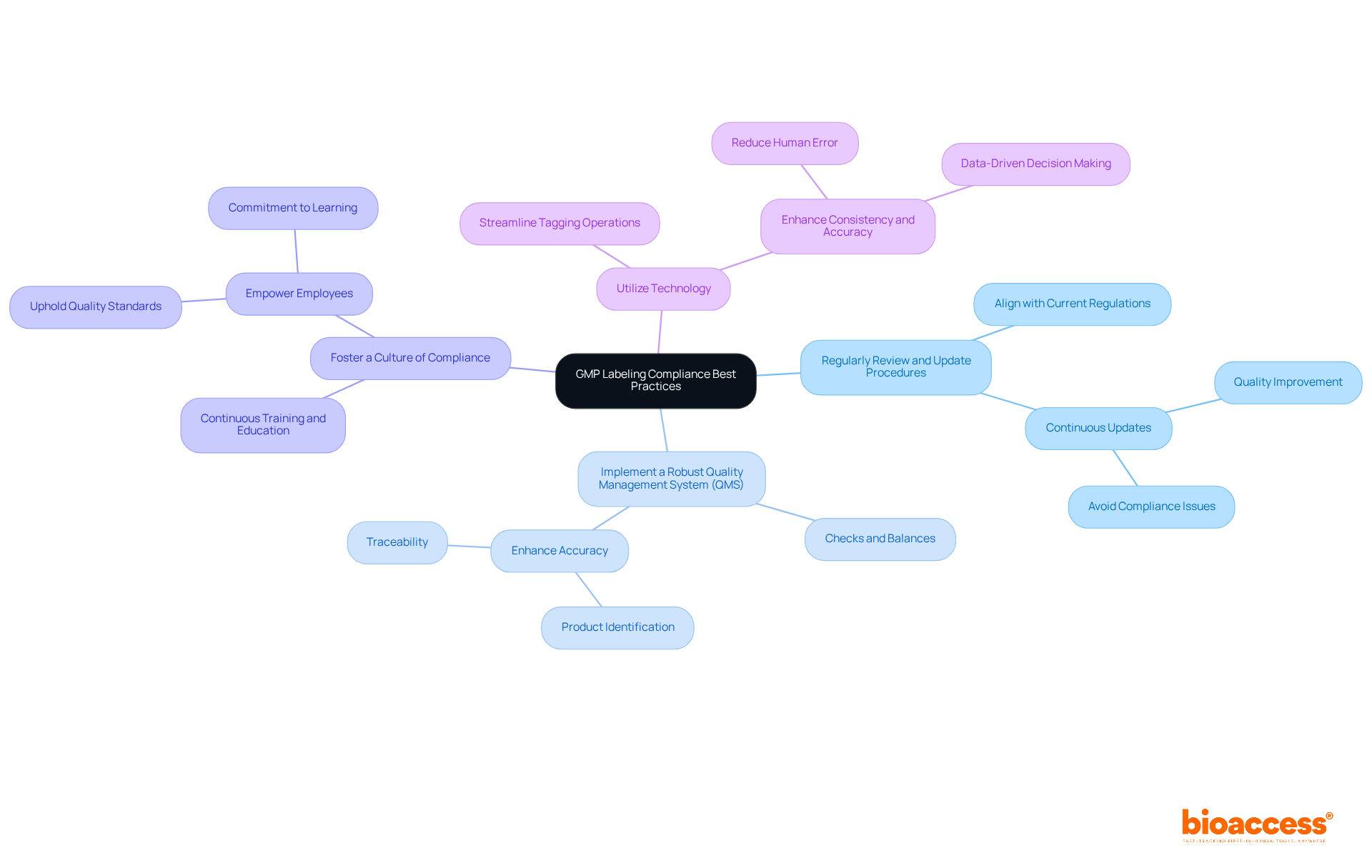 The central node represents the main goal of compliance, with branches showing different best practices. Each sub-branch provides additional detail on what each practice entails.