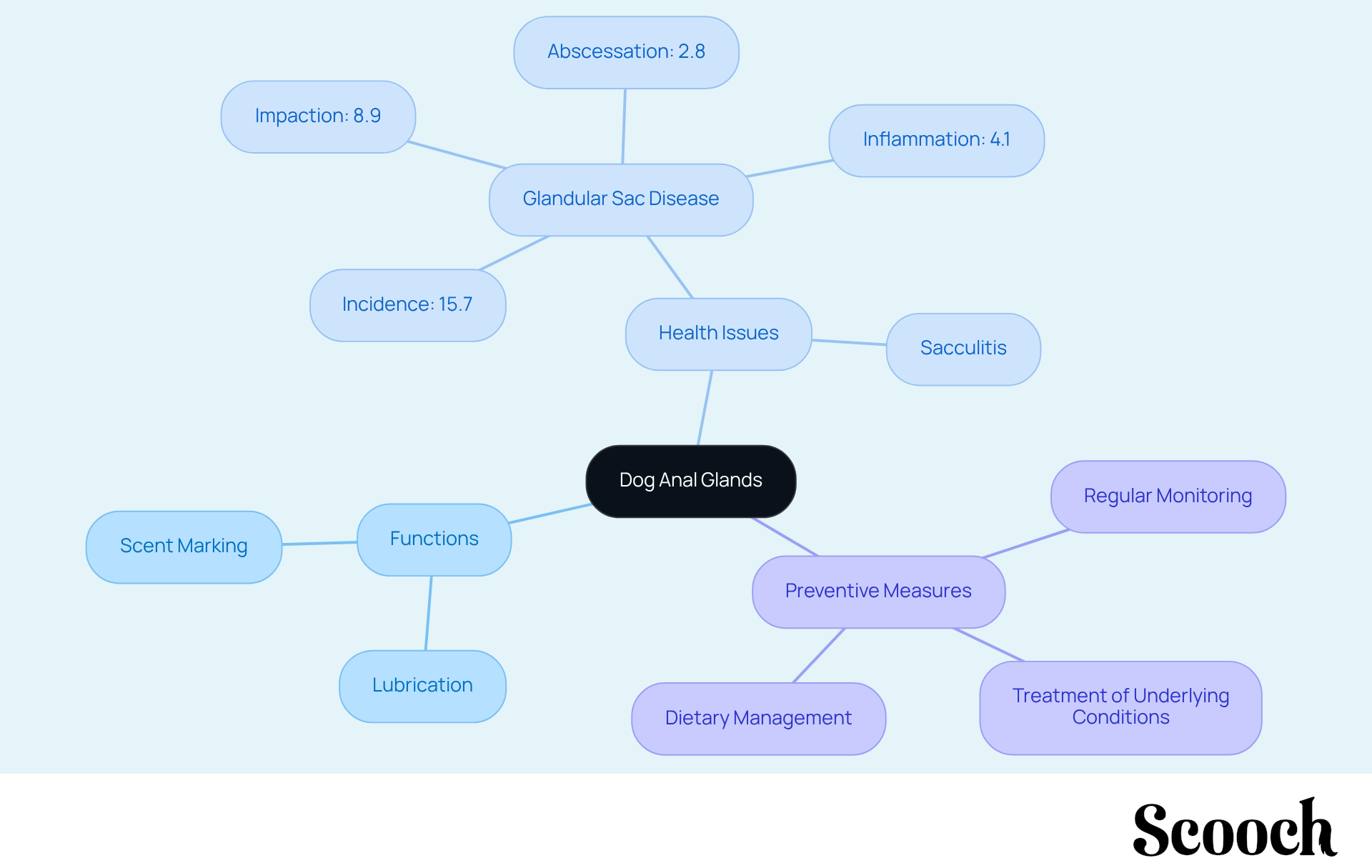 This mindmap starts at the center with dog anal glands, branching out to show their functions, related health issues, and ways to prevent problems. Each color-coded branch helps you see how different aspects connect. This mindmap starts at the center with dog anal glands, branching out to show their functions, related health issues, and ways to prevent problems. Each color-coded branch helps you see how different aspects connect.