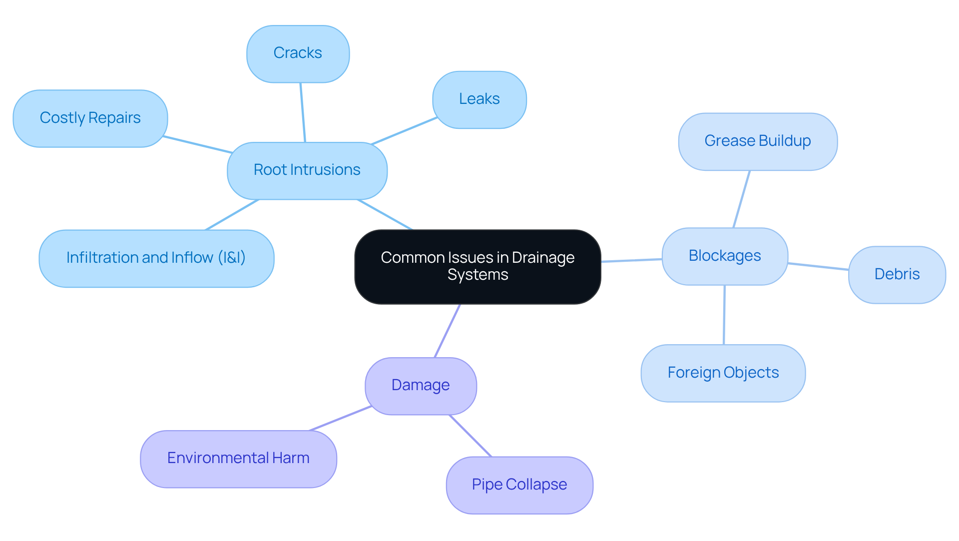 This mindmap illustrates the key issues that can affect drainage systems. Start at the center with 'Common Issues', then explore each branch to see specific problems like root intrusions and blockages. Each sub-branch shows related concerns and consequences, helping you understand how they connect and why addressing them early is important.