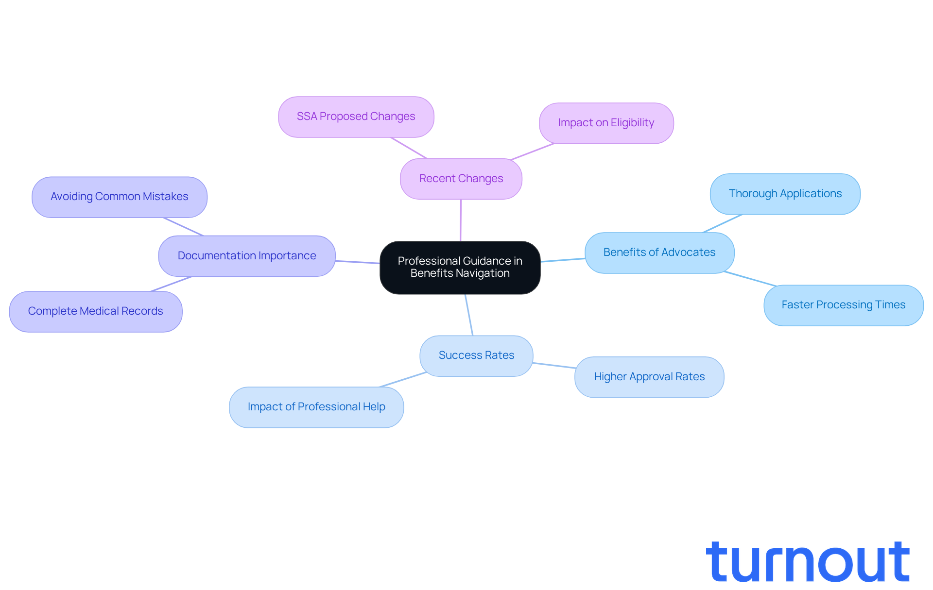 The center represents the main idea of seeking professional help. Each branch shows different aspects of how advocates can assist, from improving application quality to navigating changes in regulations.